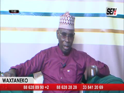 DMedia | SenTV & ZikFM en live et en replay