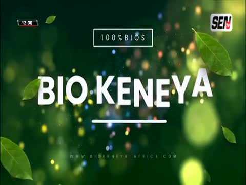 DMedia | SenTV & ZikFM en live et en replay